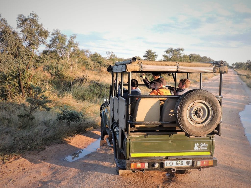 game-drive 2 - O Viajante